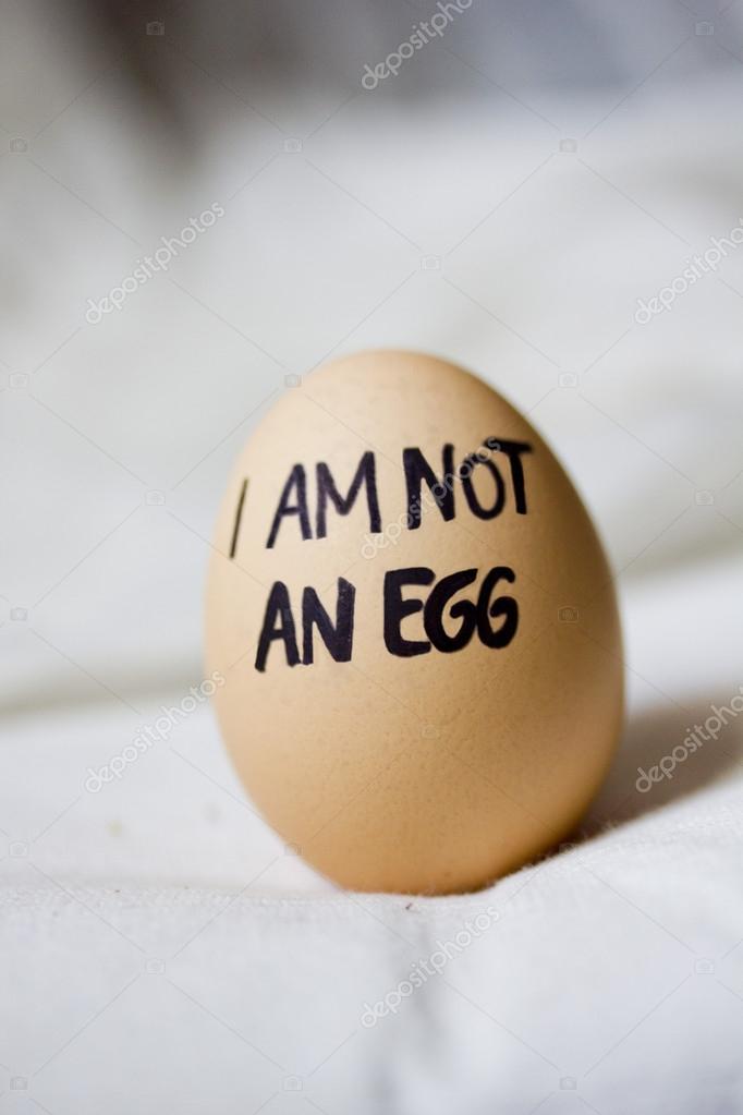I am not an egg: incongruity concept. — Stock Photo © greta6 #50350053