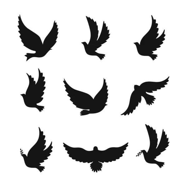 13,207,755 Infinity symbol birds Vector Images | Depositphotos