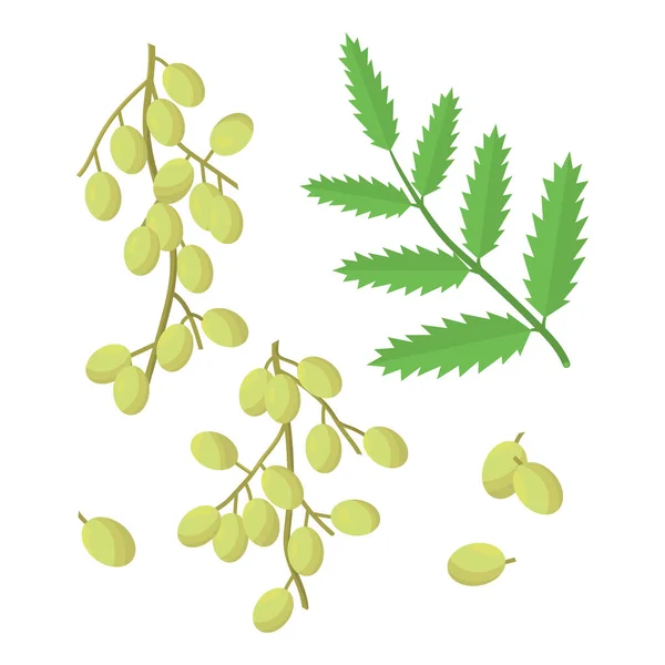 100,000 Traditional medicine Vector Images | Depositphotos