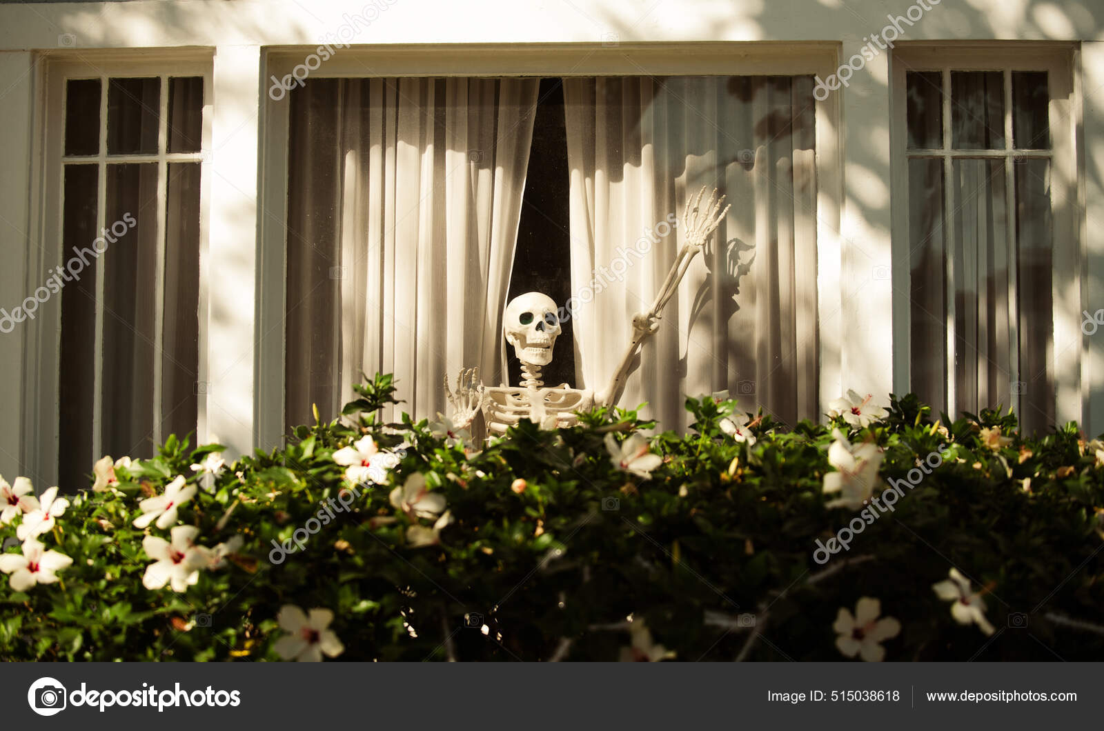 Friendly skeleton in the window. Welcome to the family skeleton ...