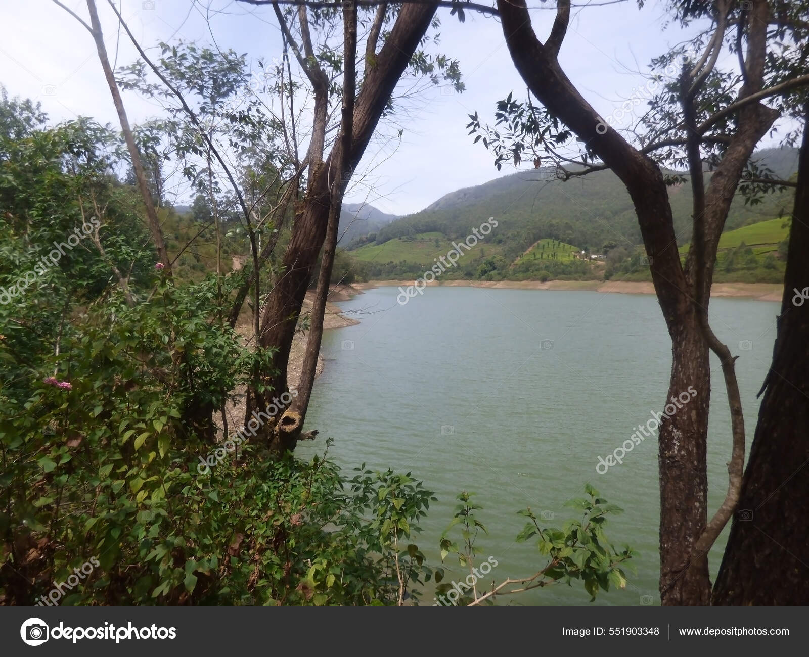 View Mattupetty Dam Its Surrounding Area Covered Tea Estate Woods ...