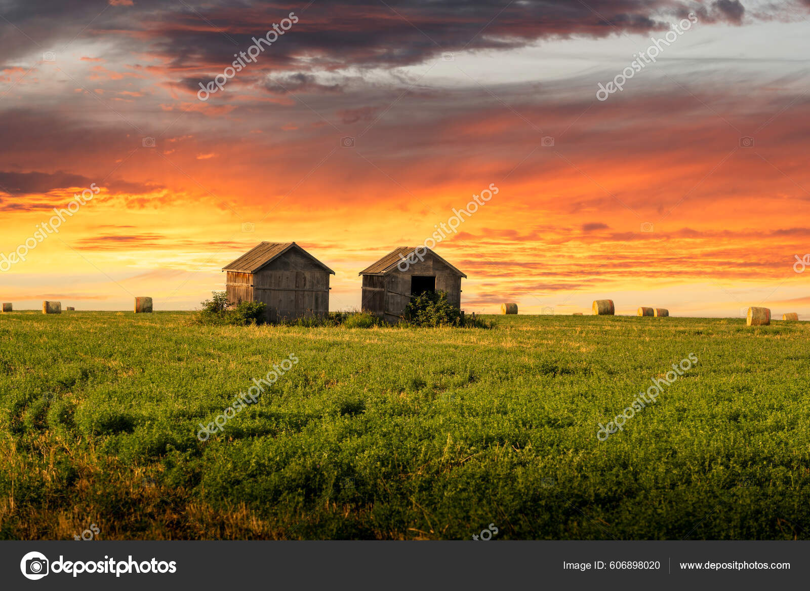 Pair Old Barns Wheat Field Hay Bales Sunrise Canadian Prairies Stock ...