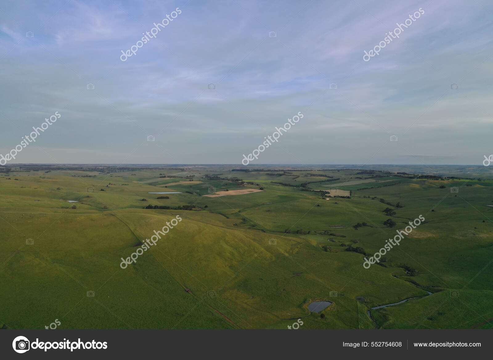 Drone Flying Beef Cattle Farm Australia — Stock Photo © wedge #552754608