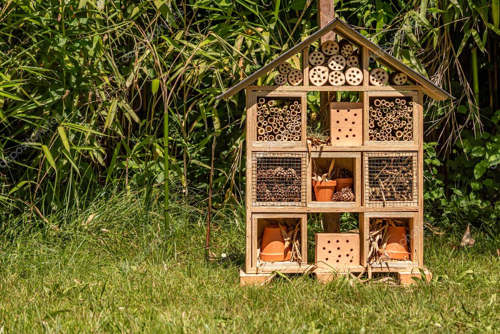 Casa de insectos en el jardín. Bug hotel en el parque con plantas y ...