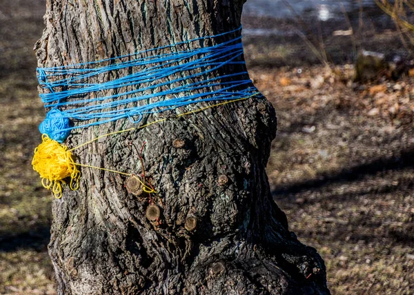 Tree murder Stock Photos, Royalty Free Tree murder Images | Depositphotos