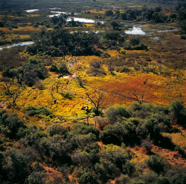 Luchtfoto van de okavango delta Stock Photos, Royalty Free Luchtfoto ...