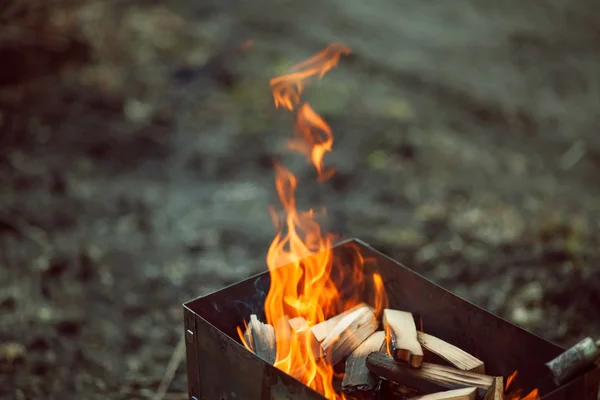 Bright fire in spring forest - Stock Image - Everypixel