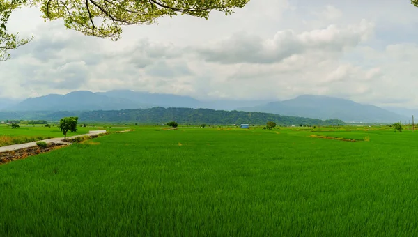 Ziro valley Stock Photos, Royalty Free Ziro valley Images | Depositphotos