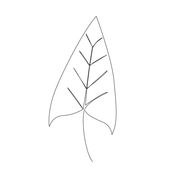 100,000 Line drawing leaf Vector Images | Depositphotos