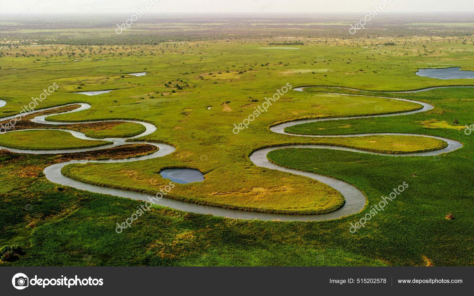 Okavango Delta River Landscape — Stock Photo © faissaly1 #515202578