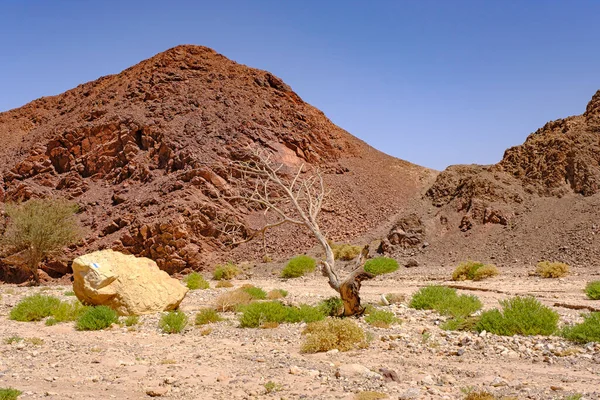 2,655,917 imágenes de Aiken ojo del diablo desierto del gobi china ...