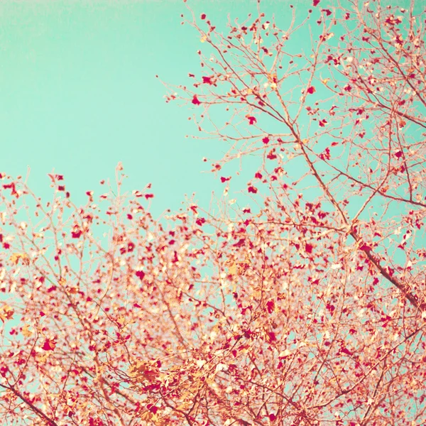 Pastel red Stock Photos, Royalty Free Pastel red Images | Depositphotos