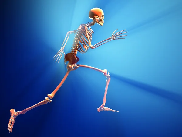 Skeleton Doing Sport