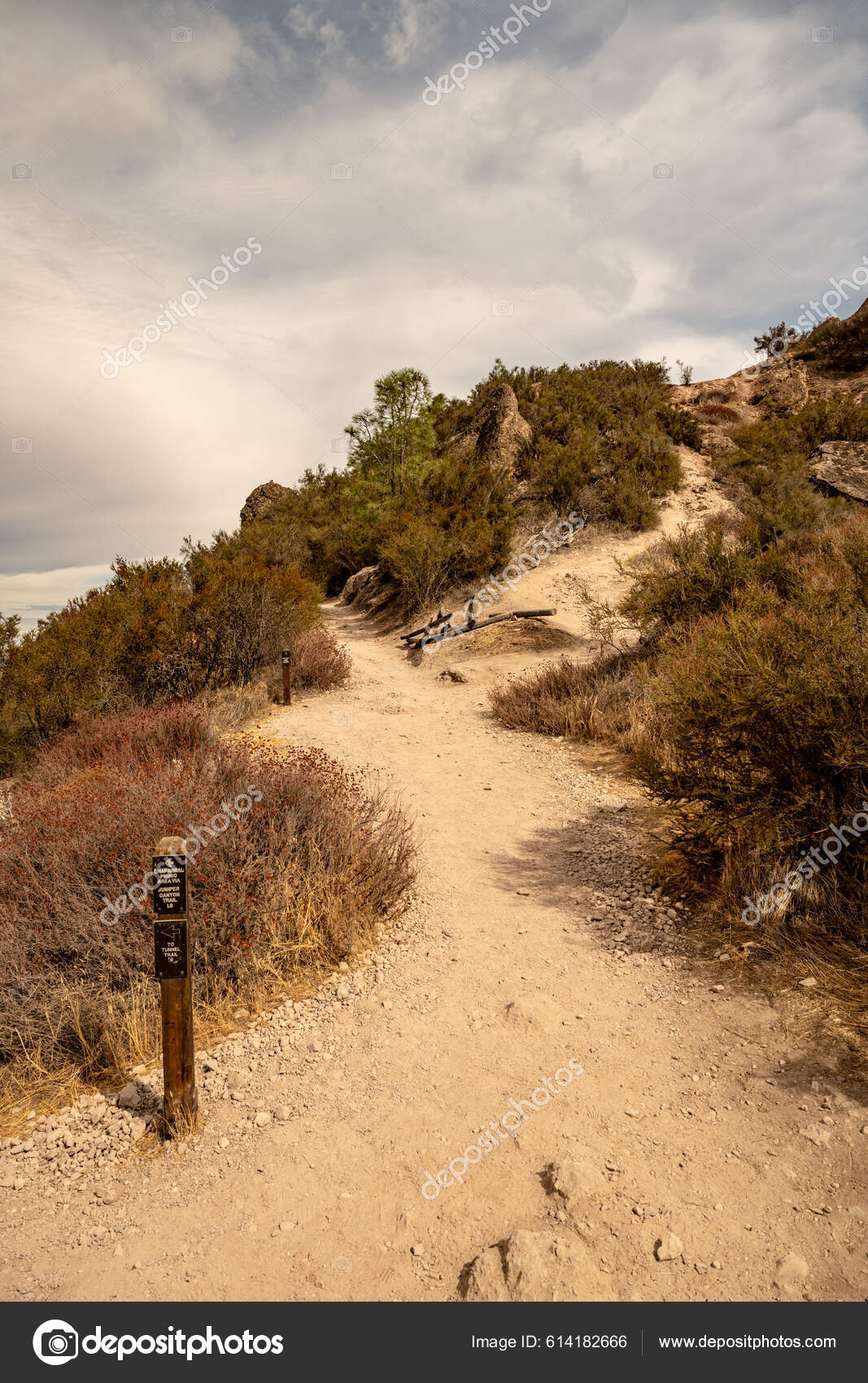Trail Junction Heading Tunnel Trail Jupiter Canyon Trail Pinnacles ...