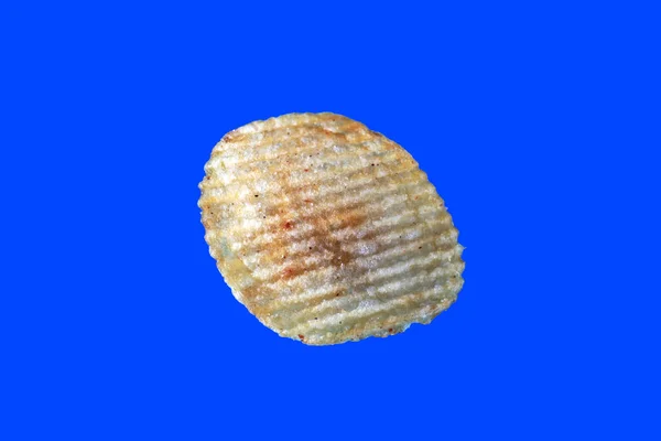 Montage shell Stock Photos, Royalty Free Montage shell Images ...