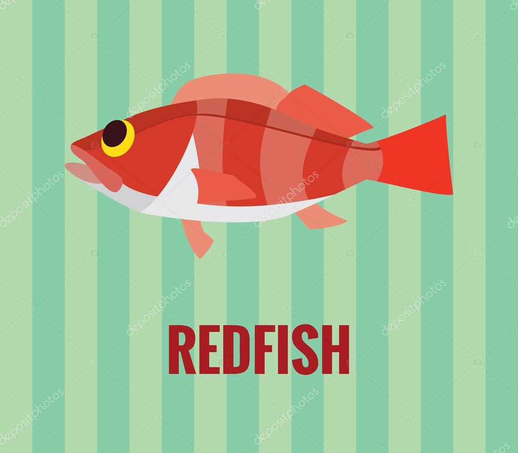 Redfish - drawing on green background. Stock Vector Image by ...