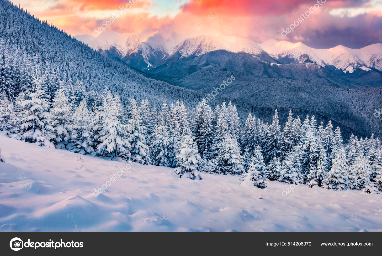 Beautiful Winter Scenery