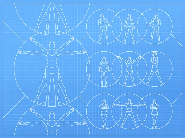 Human blueprint Stock Photos, Royalty Free Human blueprint Images ...