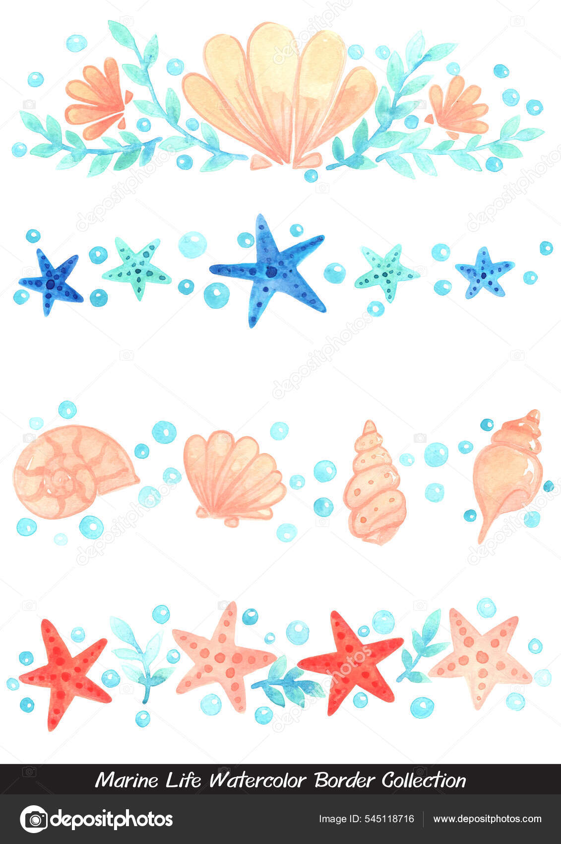 Starfish Border Clip Art