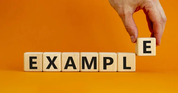 Examples fotos de stock, imágenes de Examples sin royalties | Depositphotos