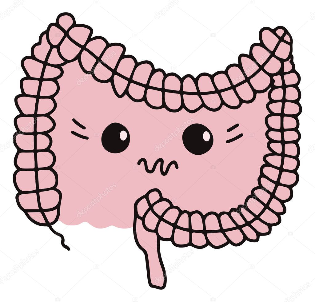 Ilustración gastrointestinal simple del sistema interno intestinal ...