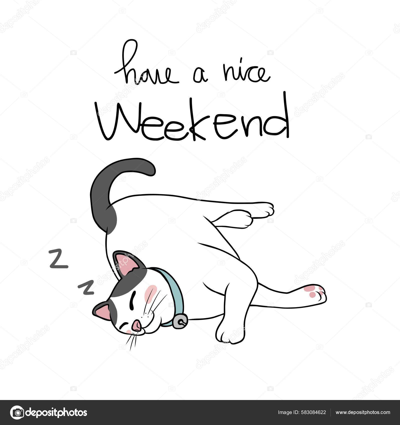 Heb Een Fijn Weekend Kat Weekend Facebook Plaatjes » Animaatjes.nl