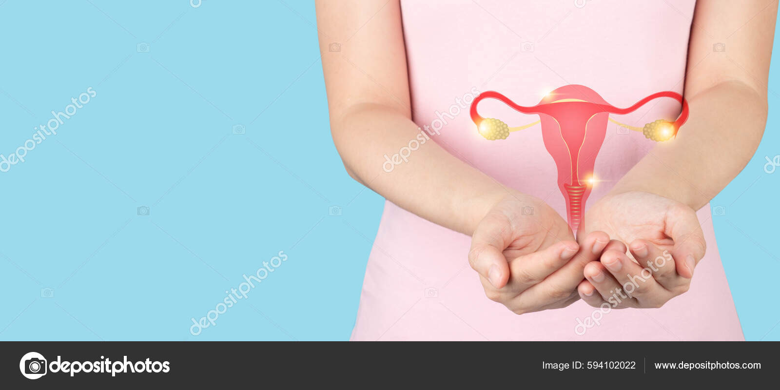 Healthy Uterus Ovaries Anatomy Female Hands Awareness Women Health Care ... Healthy Uterus Ovaries Anatomy Female Hands Awareness Women Health Care ...