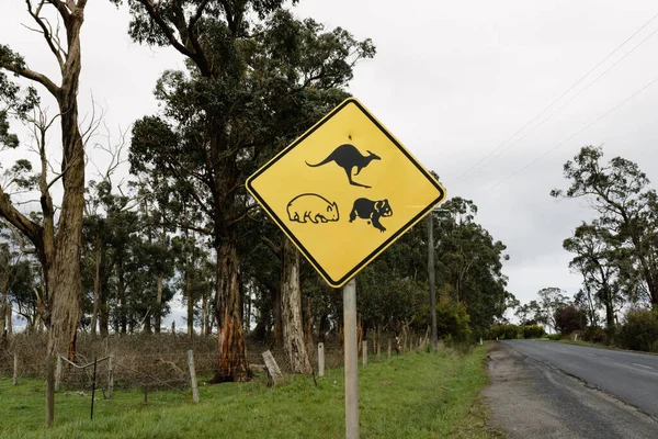 Kangaroo road sign Stock Photos, Royalty Free Kangaroo road sign Images ...