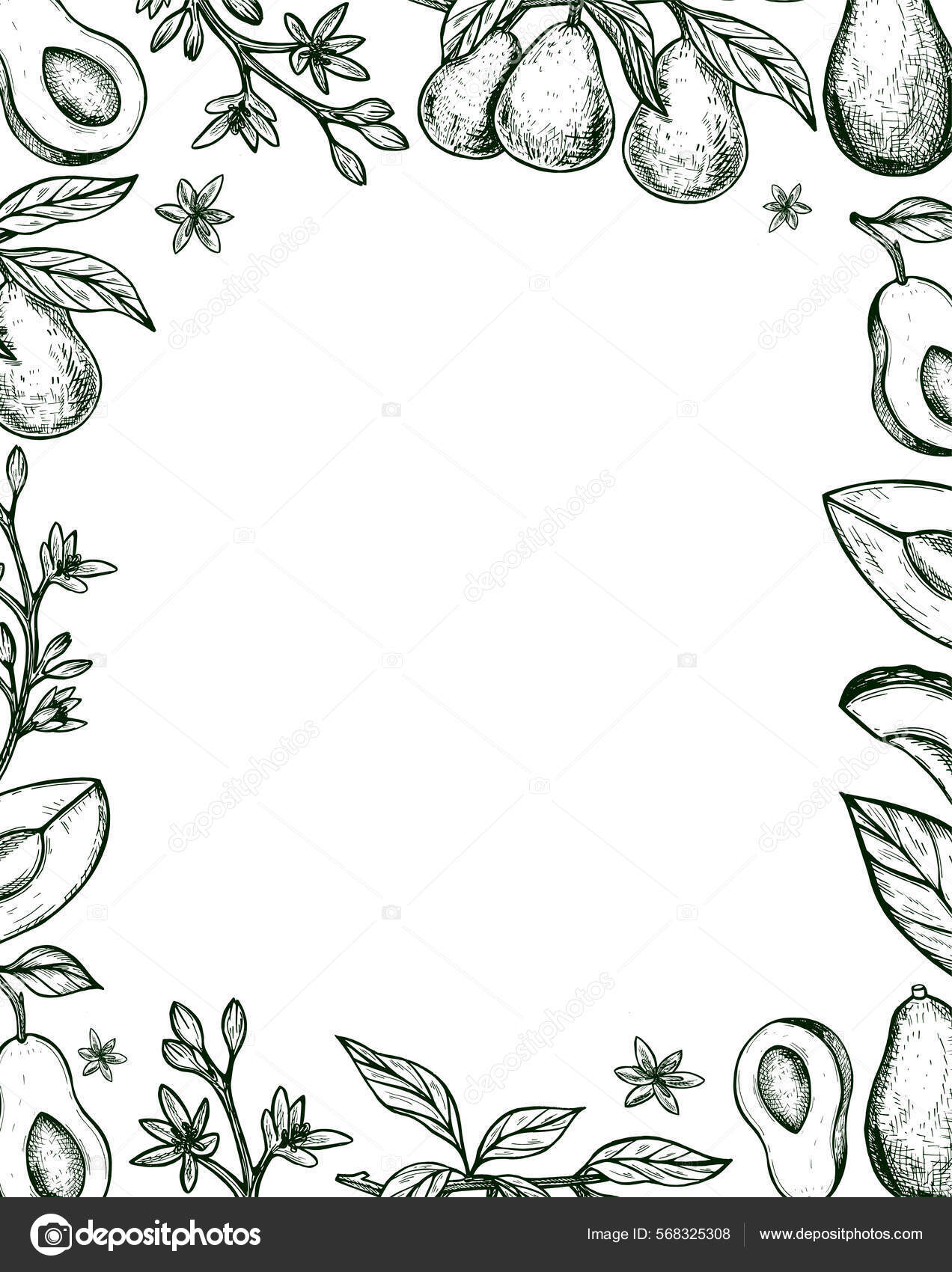 Marco Aguacate Vector Boceto Vector de stock por ©Bleskk 568325308