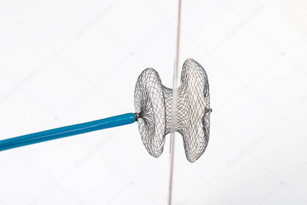 Atrial Septal Defekt. Devices for invasive cardiology procedures ...