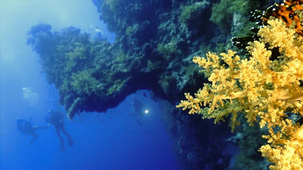 Diving destination Stock Photos, Royalty Free Diving destination Images ...