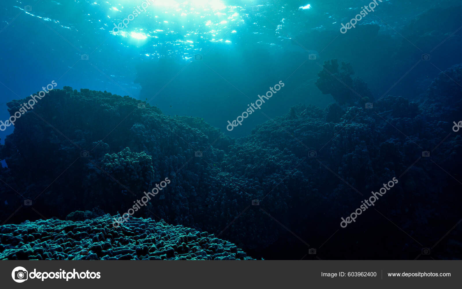 Rays Sunlight Coral Reef — Stock Photo © johan.holmdahl41@gmail.com ...