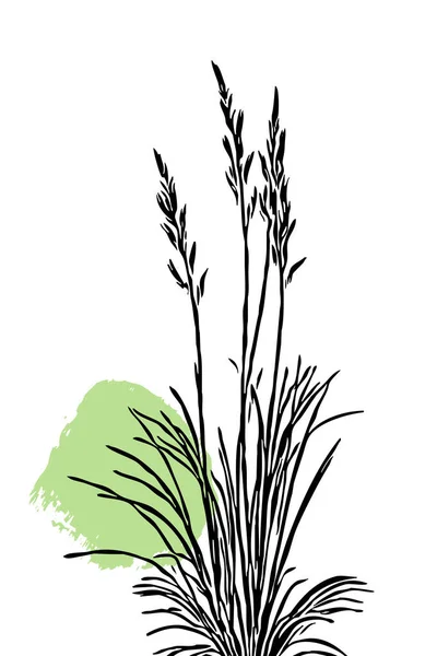 100,000 Switchgrass Vector Images | Depositphotos