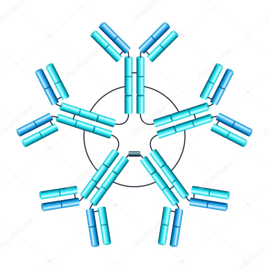 Pentameric IgM structure of antibody in 3D. Inmunoglobulina en forma de ...