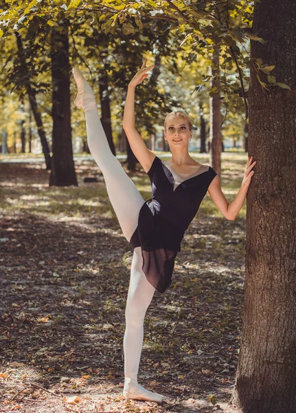 Ballet dancer dancing in the city park. Sensual ballerina in nature ...