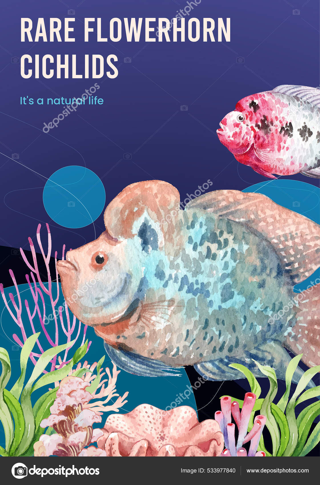 Poster Template Flower Horn Cichlid Fish Concept Watercolor Styl Stock ...