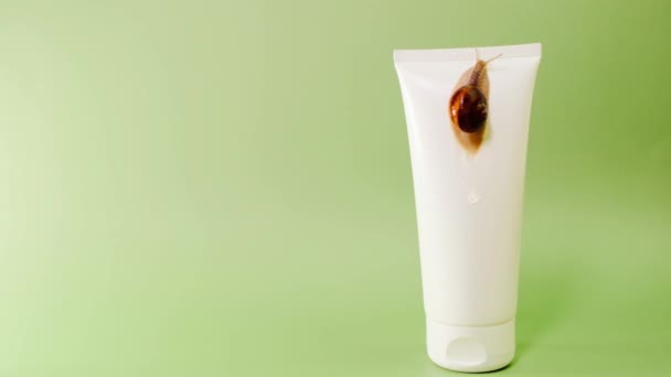 163 Snail mucin Stock Videos, 4K & HD Footage | Depositphotos