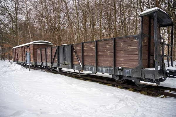 Auschwitz train Stock Photos, Royalty Free Auschwitz train Images ...
