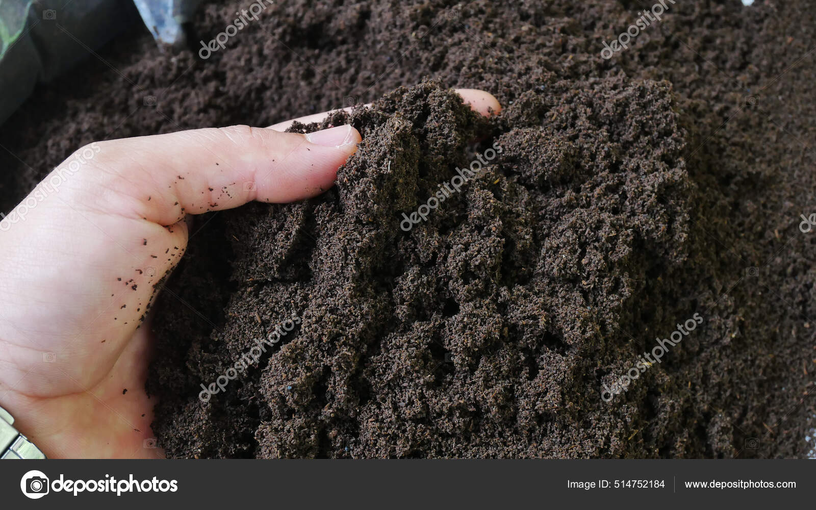 Brown Bio Fertilizer Earthworm Manure Plants — Stock Photo © toeytoey ...