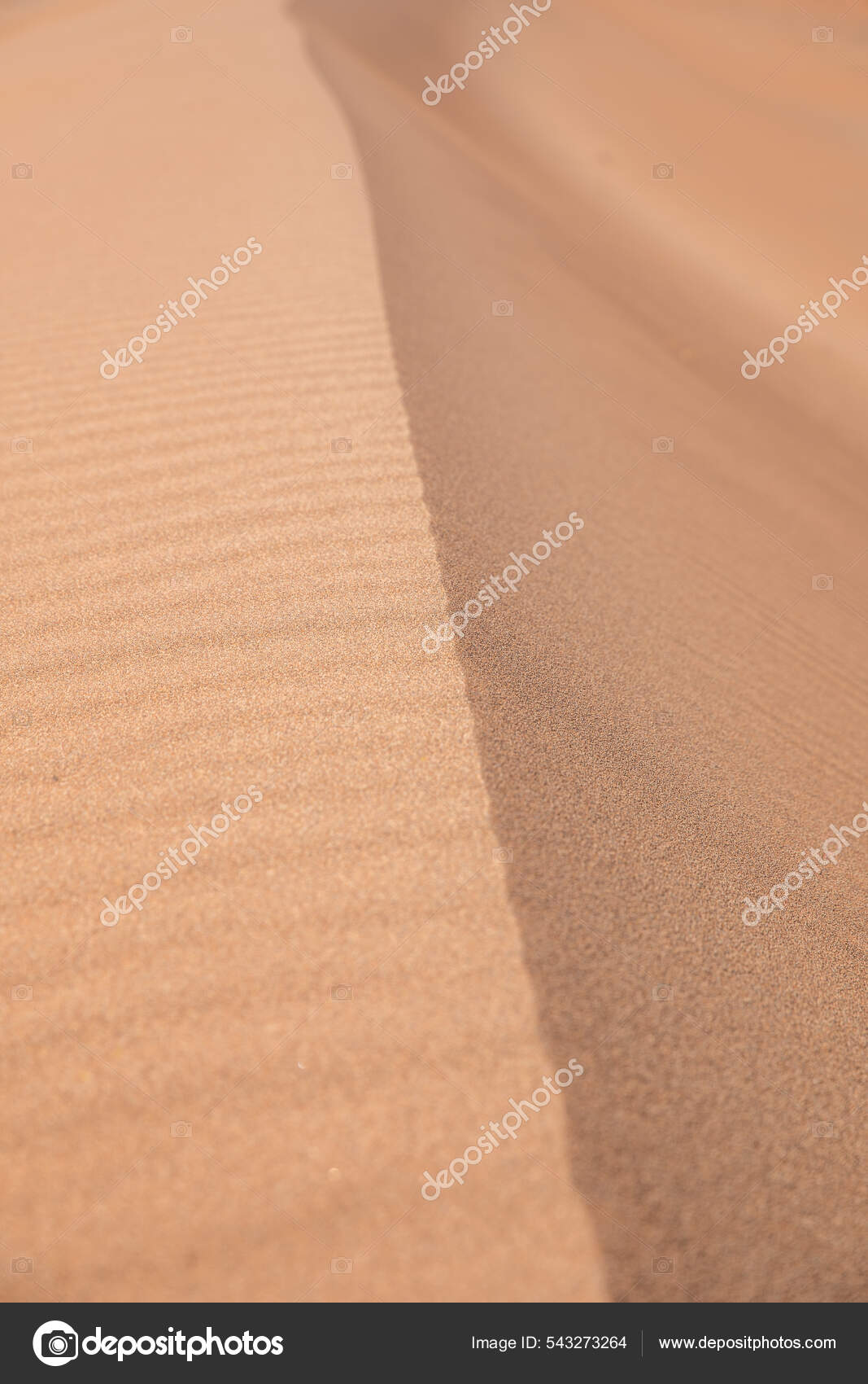 Sand Shaping Wind Dune Sossusvlei Namibia — Stock Photo © GunterN ...