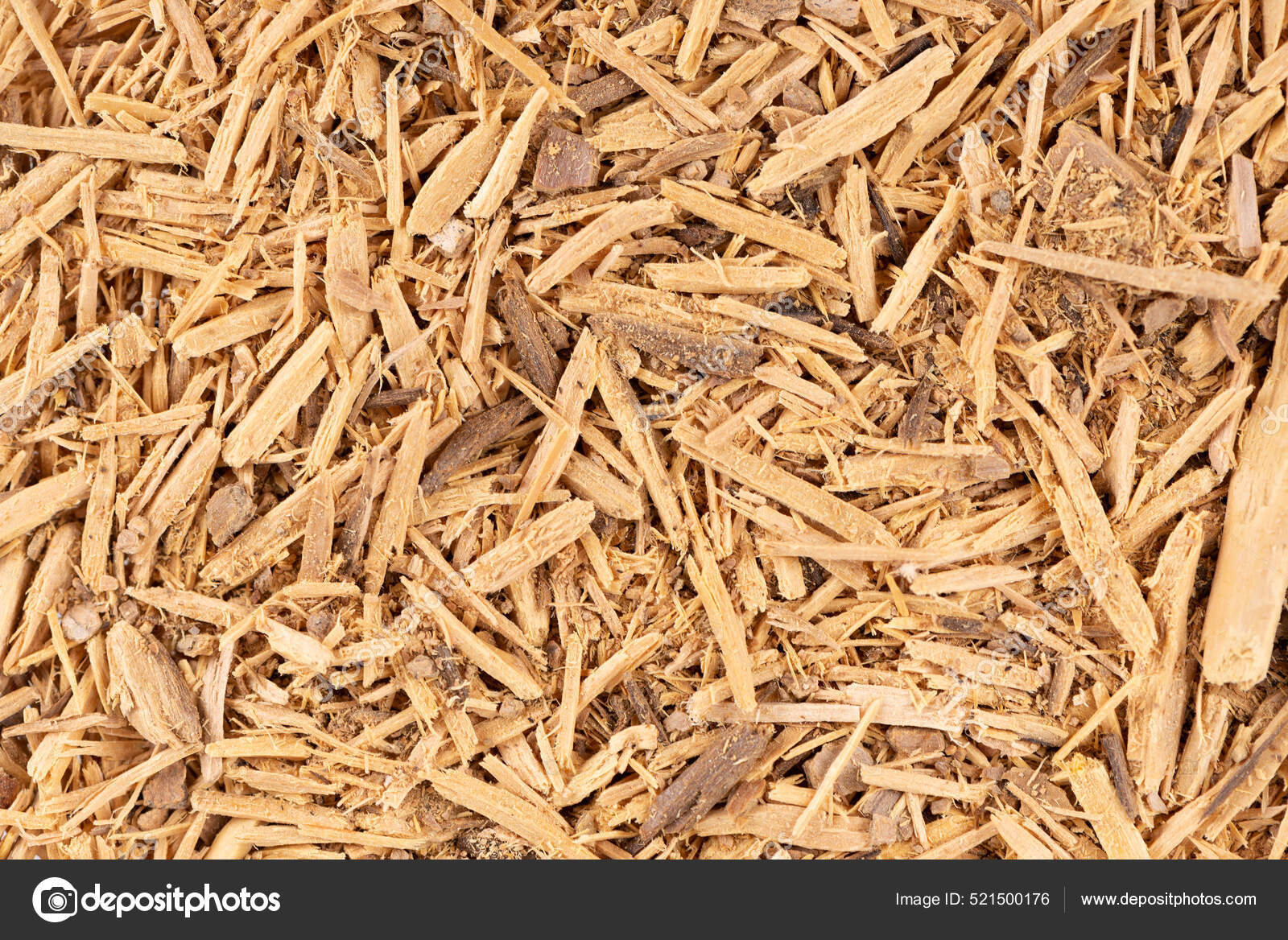 Muira Puama herbal tea background. Natural potency wood, medicinal ...