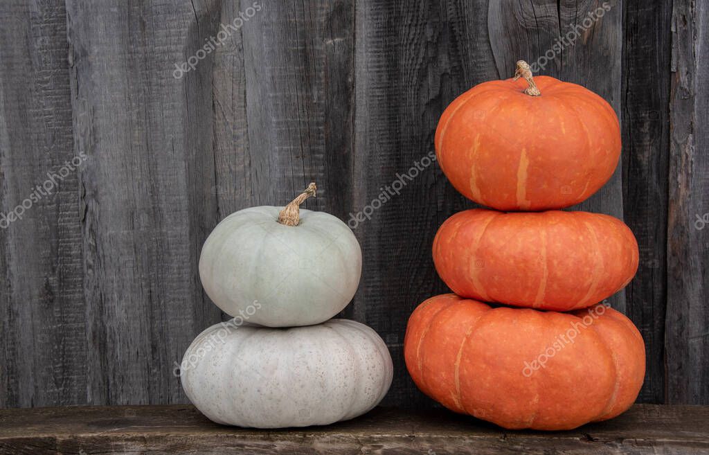una pirámide de calabazas naranjas y blancas sobre un fondo gris de ...