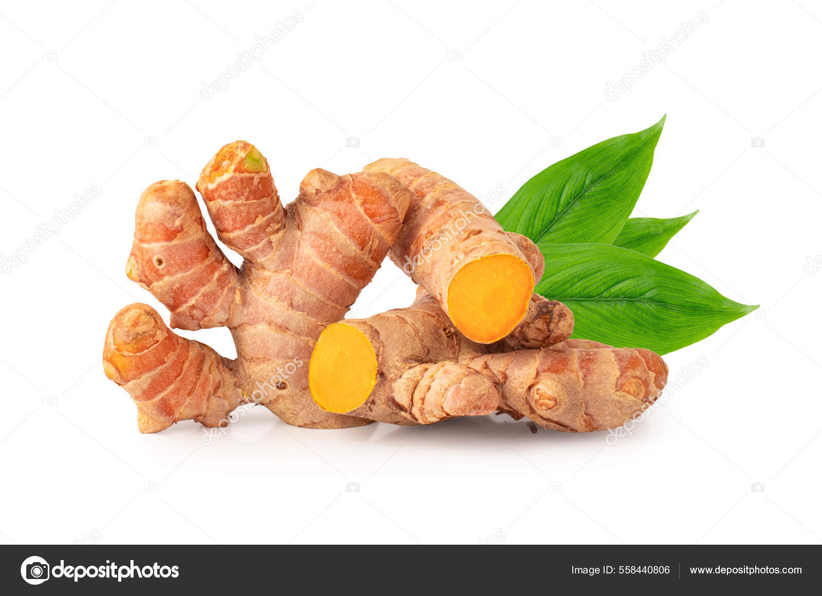 Turmeric Curcuma Longa Linn Rhizome Root Sliced Green Leaves Isolated ...