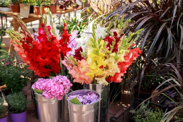 Multi-colored flowers red, pink, yellow, white, orange. Wholesale ...