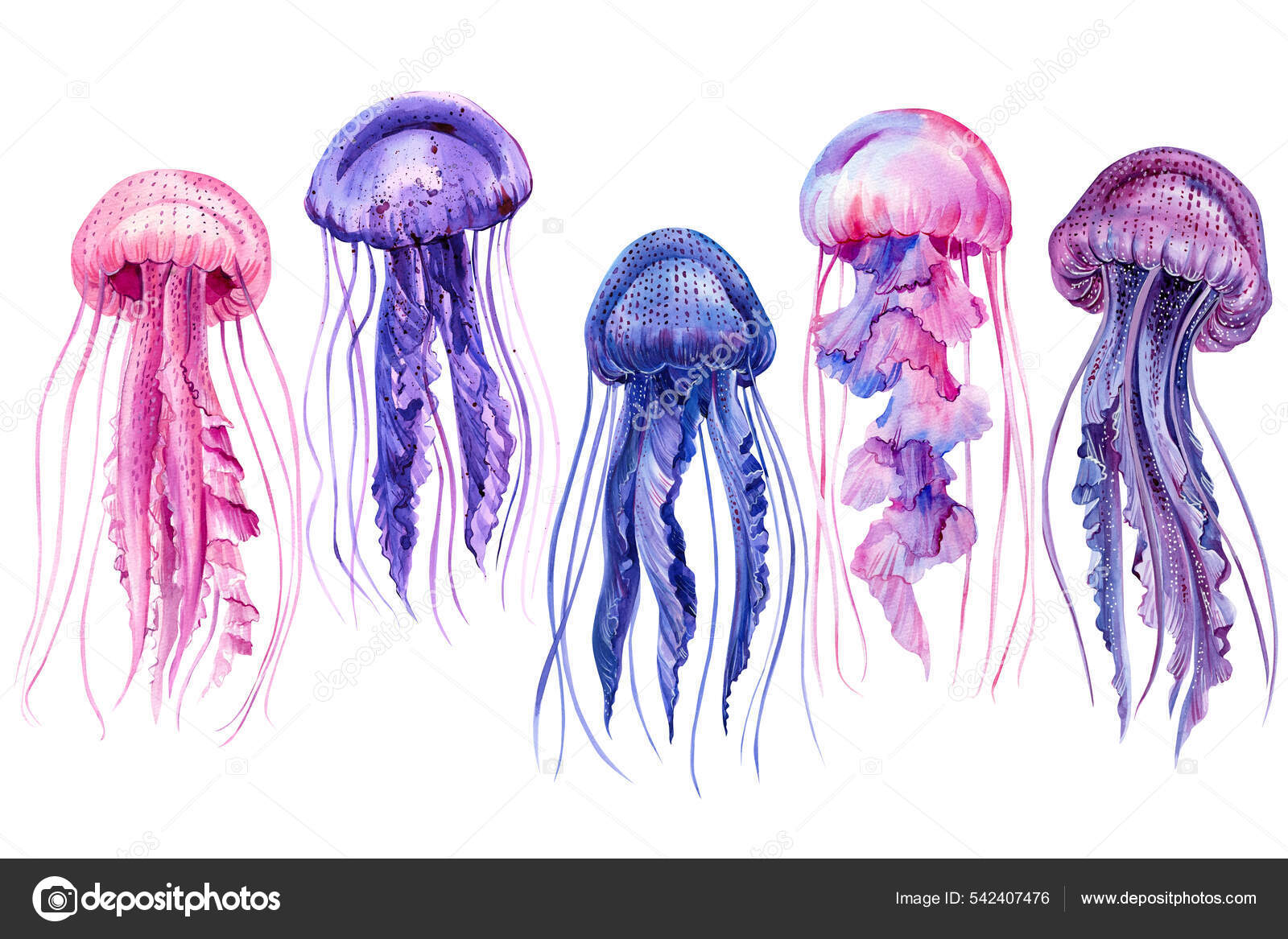 Watercolor jellyfish set, isolated on white background underwater Stock ...