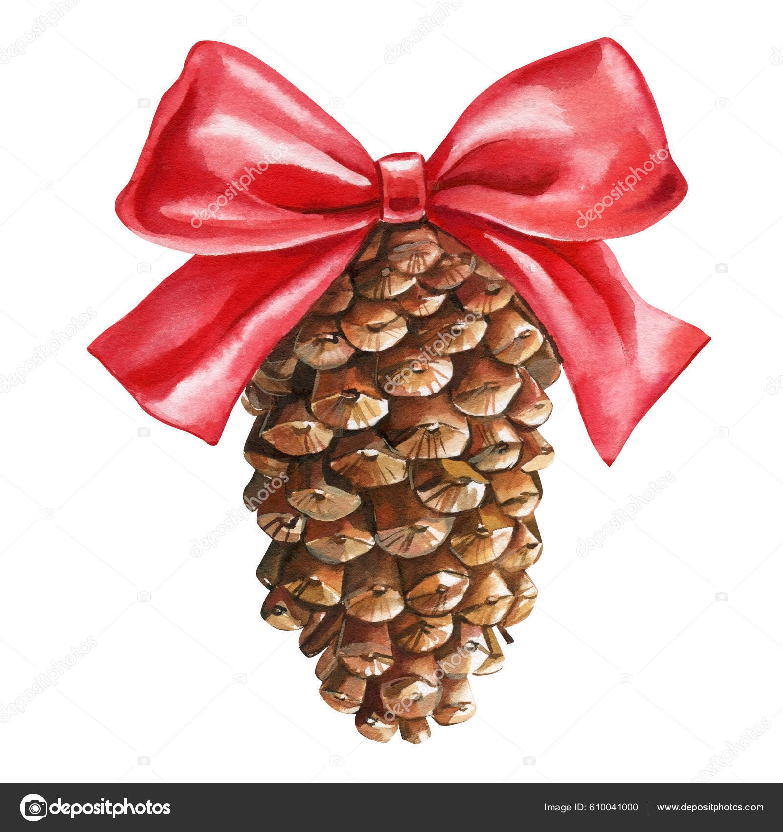 Pine Cone Pictures Clip Art