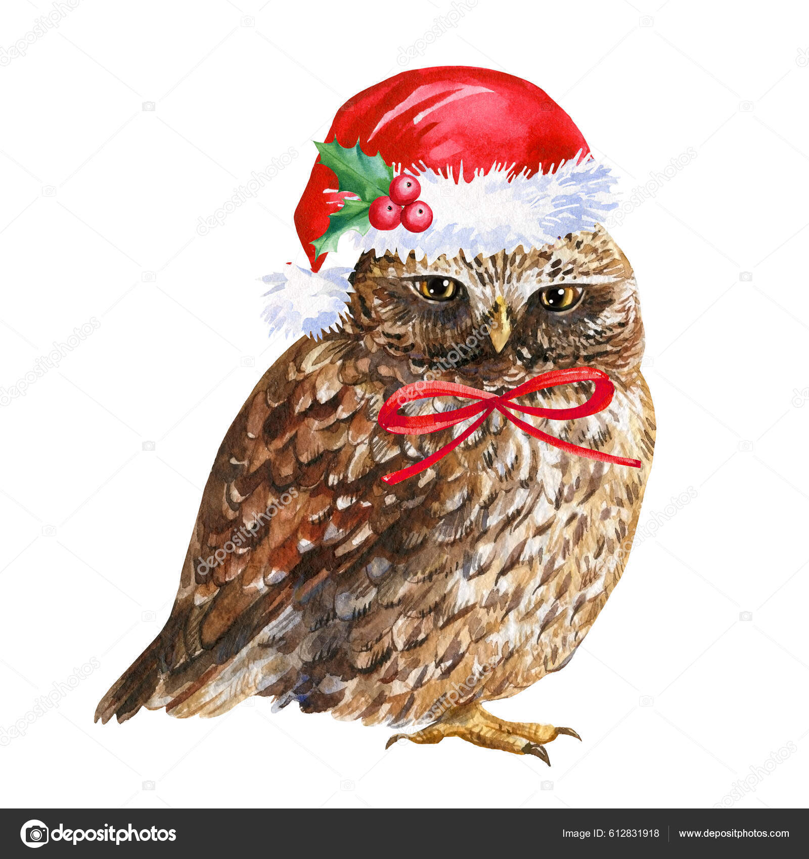 Real Owl In Santa Hat