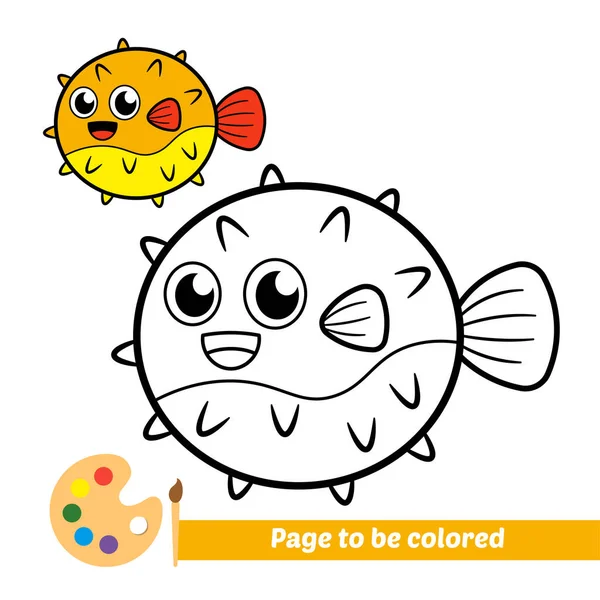 Life Cycle Of A Puffer Fish For Kids Google Search