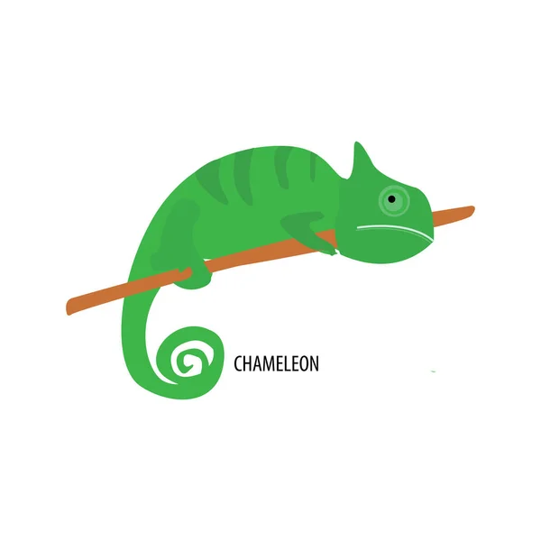 100,000 Chameleon cartoons Vector Images | Depositphotos