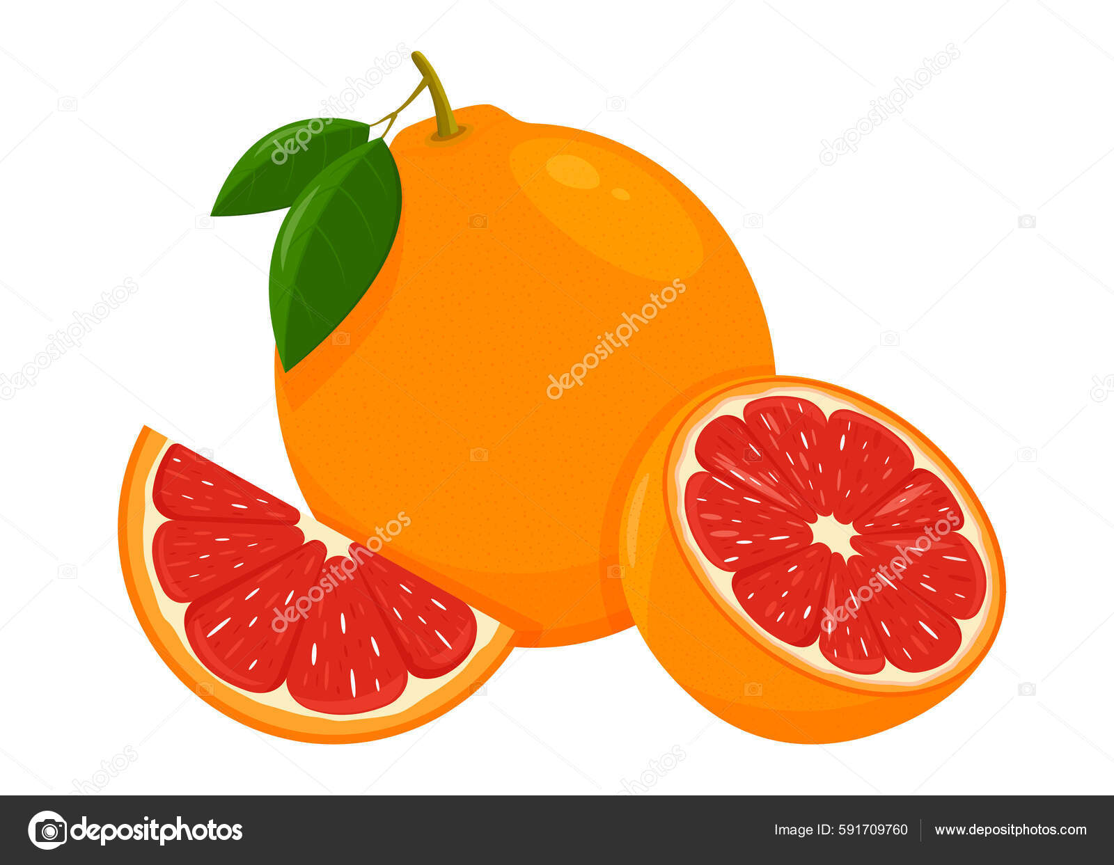 Icon Grapefruit Set Whole Fruit Slice Half Leaves Isolated Vector ...